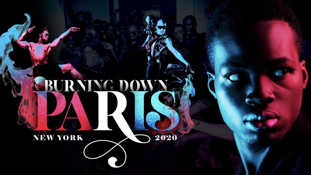 Signal23 Television – LGBTQ Streaming Network